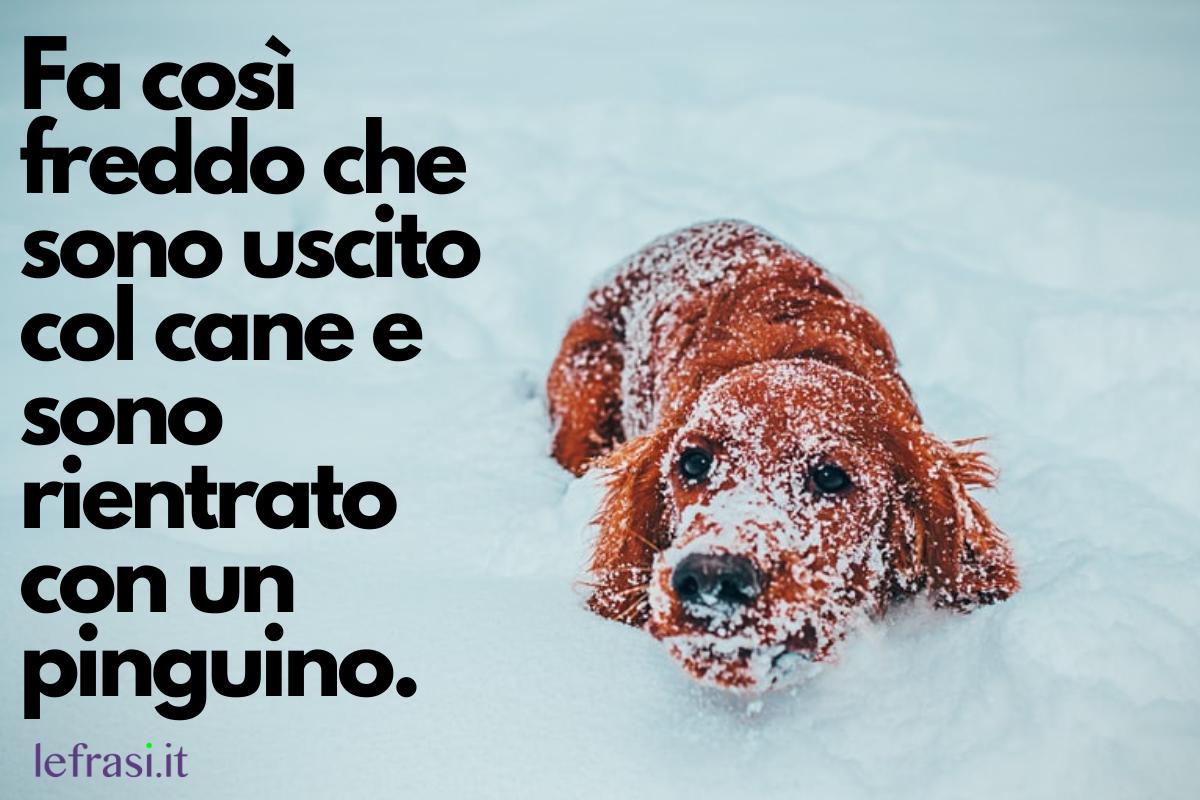 +50 FRASI sul FREDDO: Divertenti e Belle da CONDIVIDERE